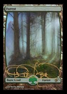 Judge Promo Forest | Judge Promos